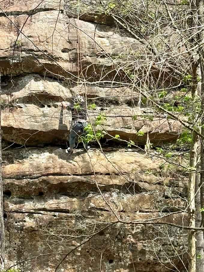 These layered bluffs tell millions of years of history better than any museum exhibit ever could.