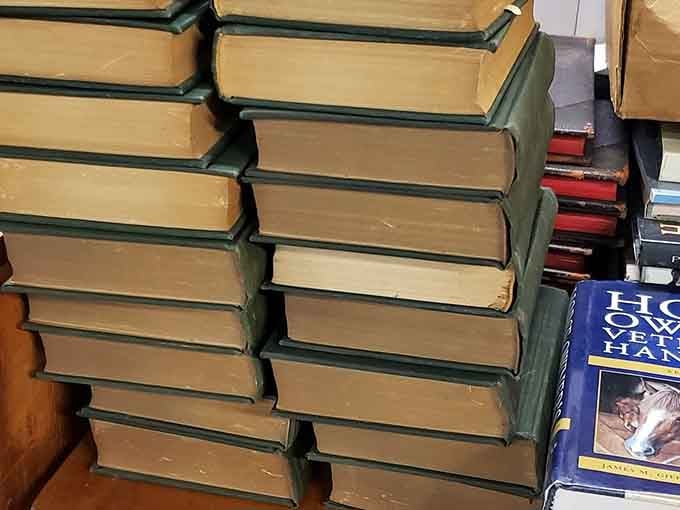 Stacks of books waiting to be discovered, each one a potential treasure hunt winner.