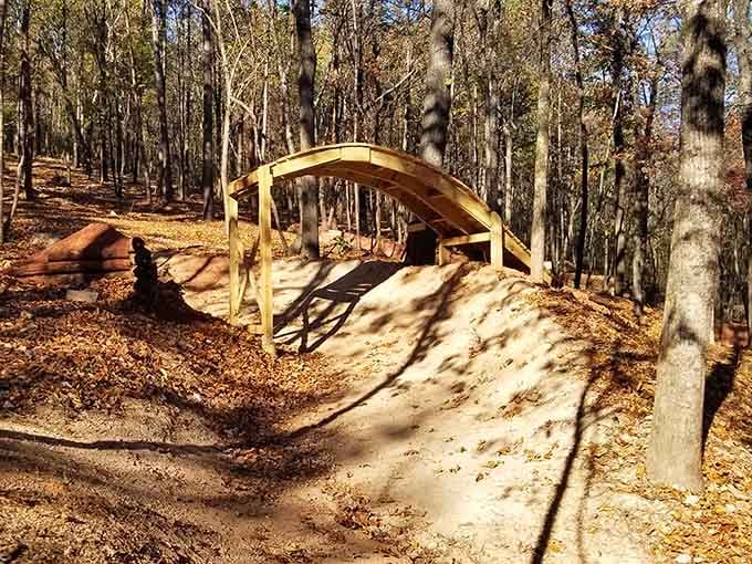 This curved wooden bridge arching over the trail adds architectural flair to nature's already impressive downhill canvas below.