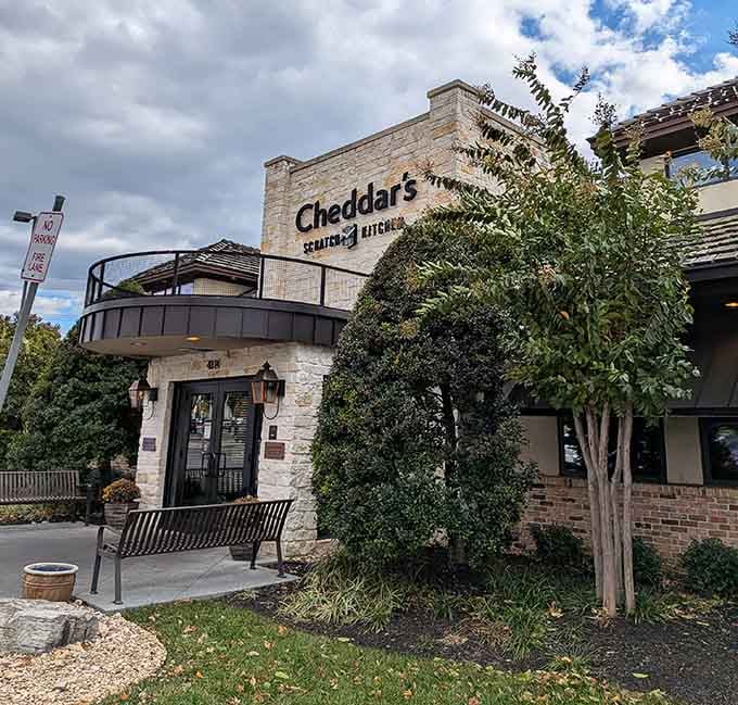 Cheddar's proves Roanoke has dining options for every budget, from casual comfort to upscale adventures.
