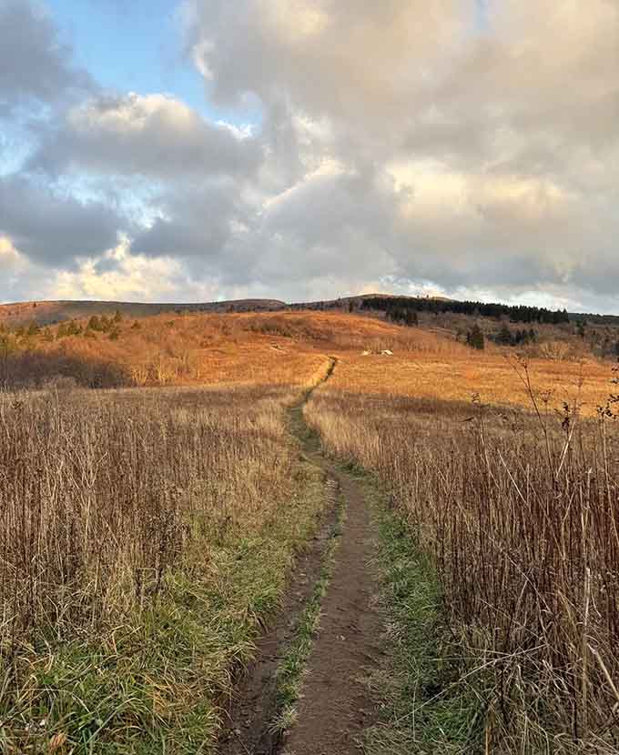 Fall colors splash across the mountainside while morning mist adds that perfect touch of Appalachian mystery and magic.