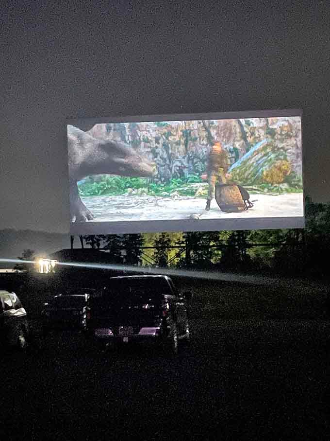 Animated characters come alive on the giant screen, delighting audiences who've traded their living rooms for this outdoor theater.