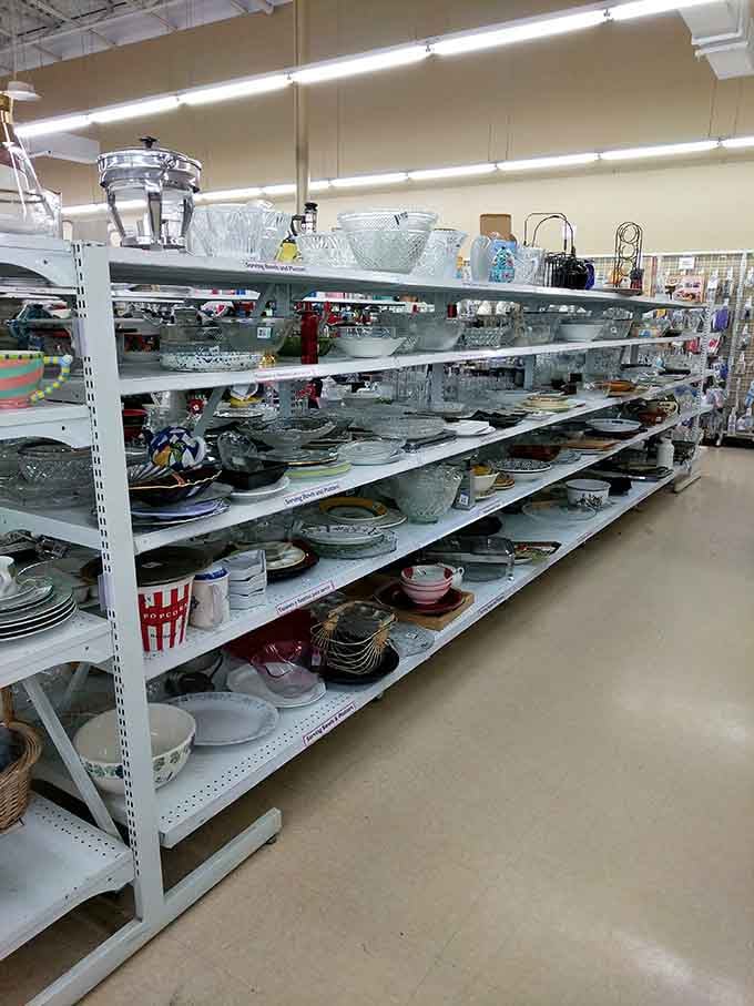 Crystal bowls and vintage serving pieces gleam under fluorescent lights, ready to host their next dinner party.