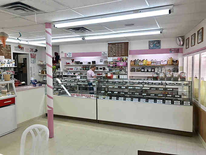 Pink and white stripes guide you through a wonderland where every case holds another delicious possibility to explore.