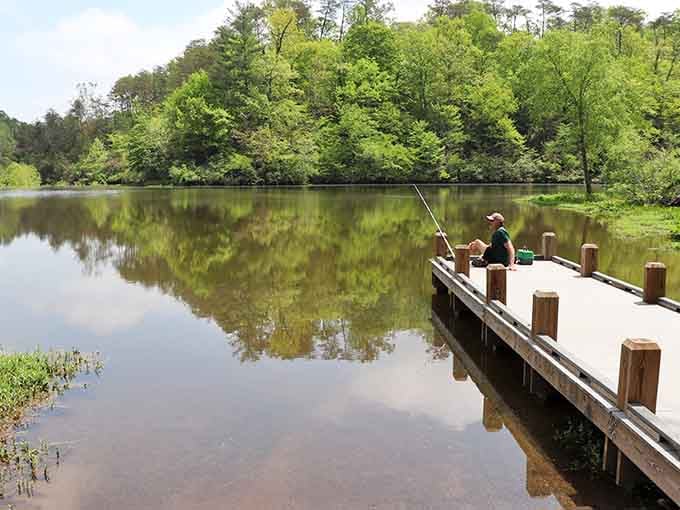 A lone angler casts into glass-calm waters, proving patience still beats technology in the fishing game.