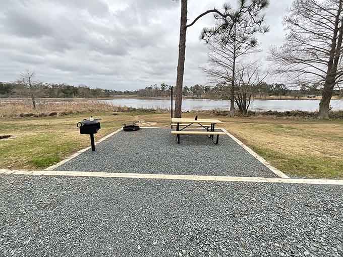 Your lakeside picnic spot awaits with views that make even a simple sandwich taste like a gourmet meal.