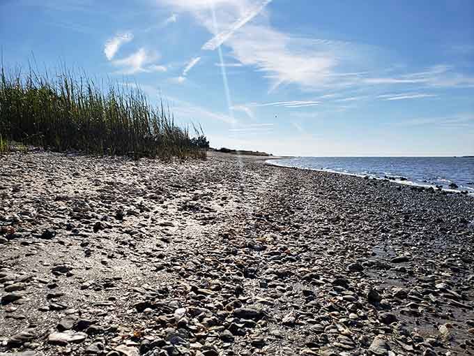 That satisfying crunch underfoot isn't just shells, it's compressed history waiting to be discovered.