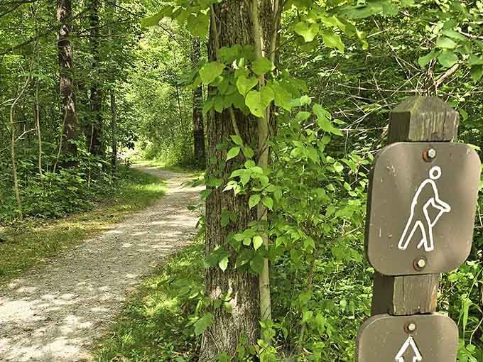 Forest trails beckon you deeper into the preserve, where the only traffic jam involves squirrels and songbirds.