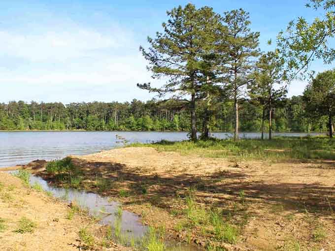 Where grass meets lake, you'll find the kind of tranquility that resets your entire week.