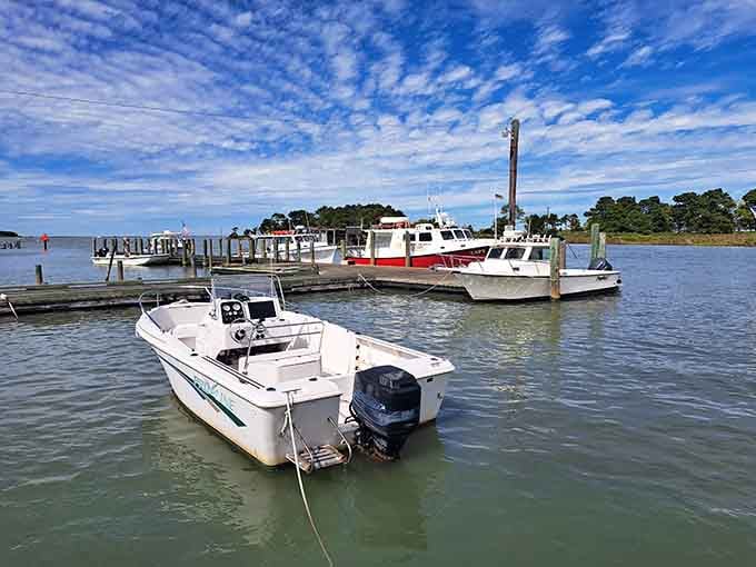 Where working boats rest between adventures, creating postcard scenes without even trying to impress anyone.