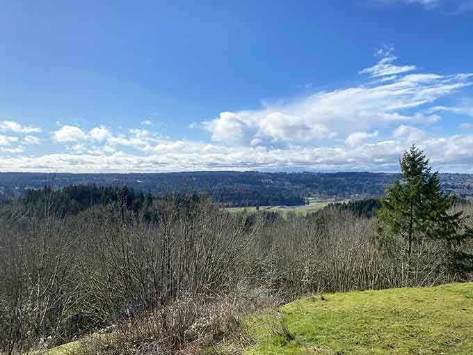 Rolling hills and evergreen forests stretch toward the horizon like Washington decided to show off all its best features at once.