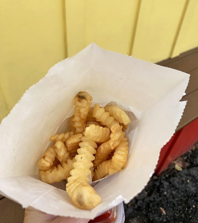 Crinkle-cut fries are the unsung heroes of American dining, golden and perfectly seasoned every single time here.