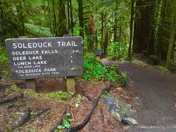 Trail signs pointing to waterfalls and alpine lakes remind you there's adventure waiting beyond the soaking pools.