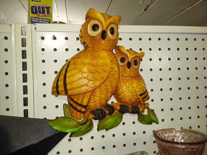 Vintage owl d&eacute;cor proving that some design trends are wise enough to come back around eventually.