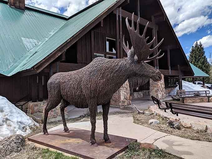 A life-size moose sculpture greets visitors at State Forest State Park, setting expectations for the real encounters ahead.