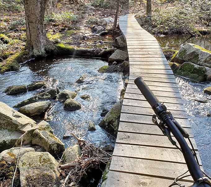 Wooden boardwalks guide you over crystal-clear streams, keeping your feet dry while your soul gets thoroughly soaked in beauty.