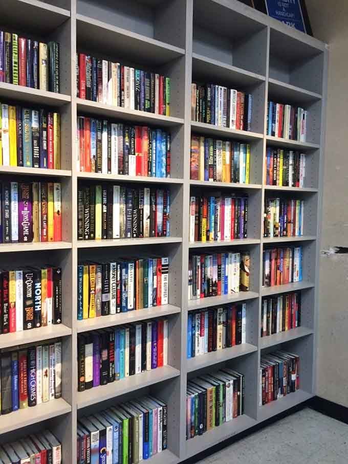 Books organized neatly in cubbies, creating a budget library that would make any reader swoon.