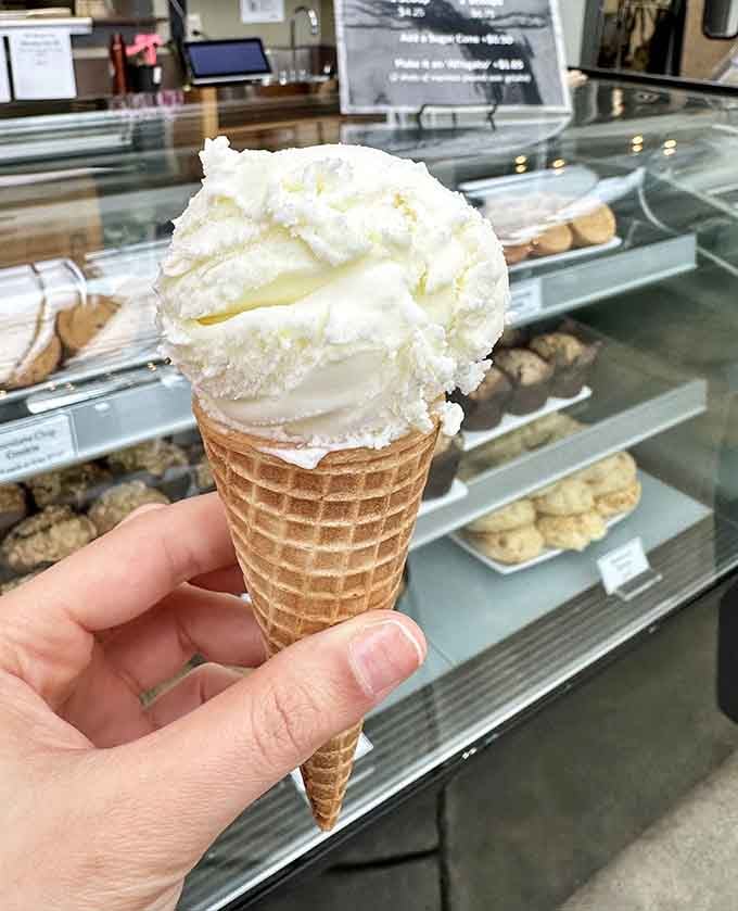 When gelato meets greenhouse, magic happens, and your afternoon suddenly gets a whole lot sweeter and more memorable.