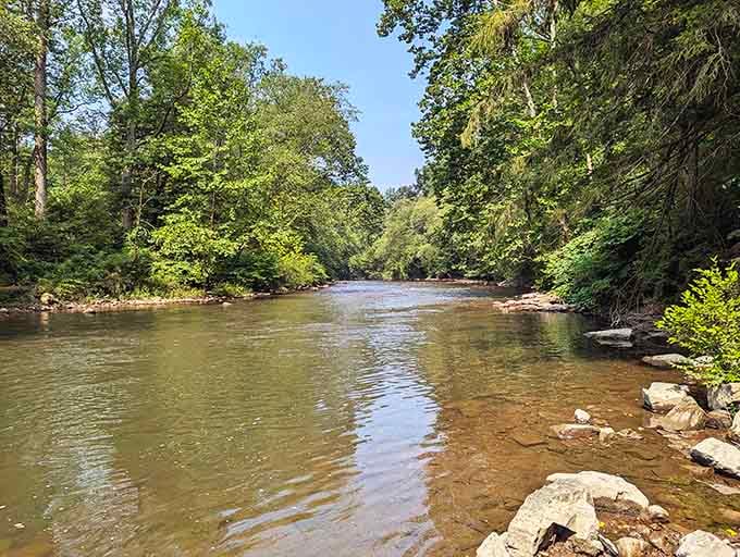 Crystal-clear waters flow over smooth stones, inviting waders and anglers to test their luck today.