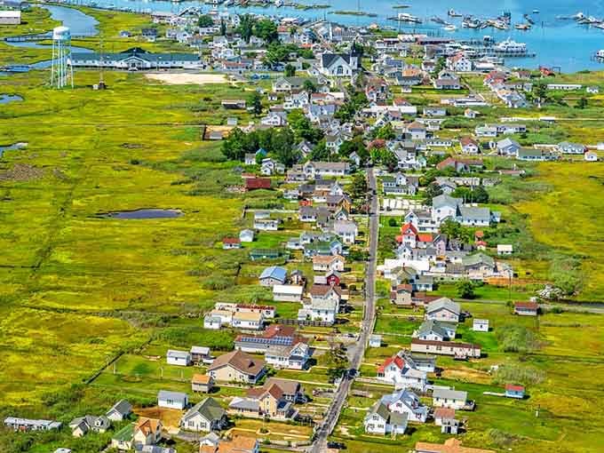 From above, Tangier Island looks like nature's own masterpiece painted in greens, blues, and the occasional rooftop.