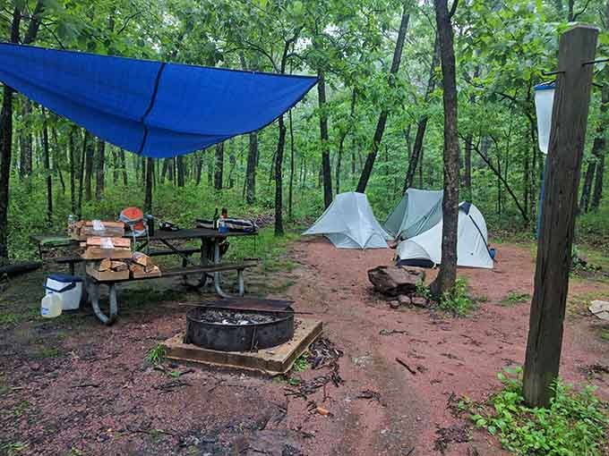 Primitive camping here means trading your smartphone glow for actual starlight, and that's a pretty fair deal.