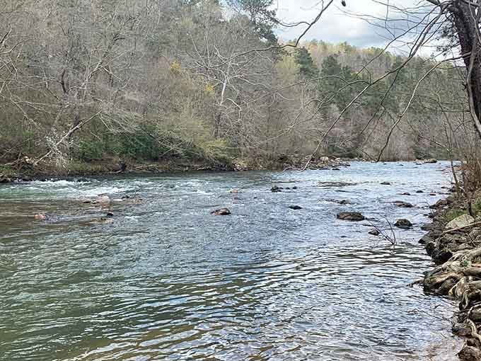 Those rocks create just enough ripples to keep things interesting without requiring a life insurance policy update.