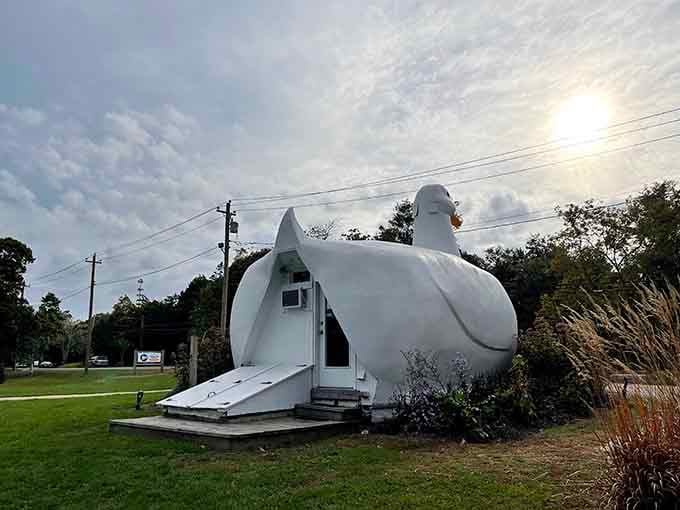The back view reveals just how committed the builders were to anatomical accuracy in their oversized waterfowl creation.