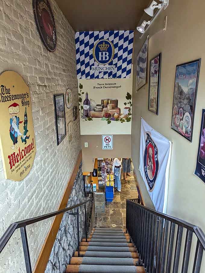 Looking down those stairs feels like descending into a delicious European cellar without the expensive plane ticket required.