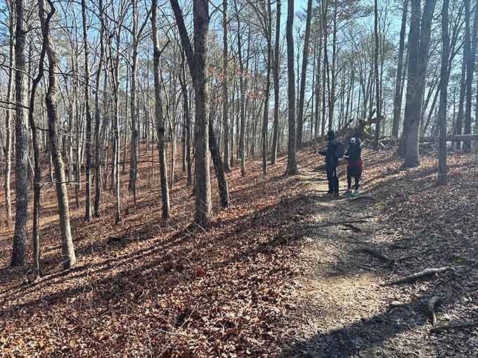 Fellow hikers pause among the leaf-strewn slopes, small figures dwarfed by nature's grand amphitheater all around them.