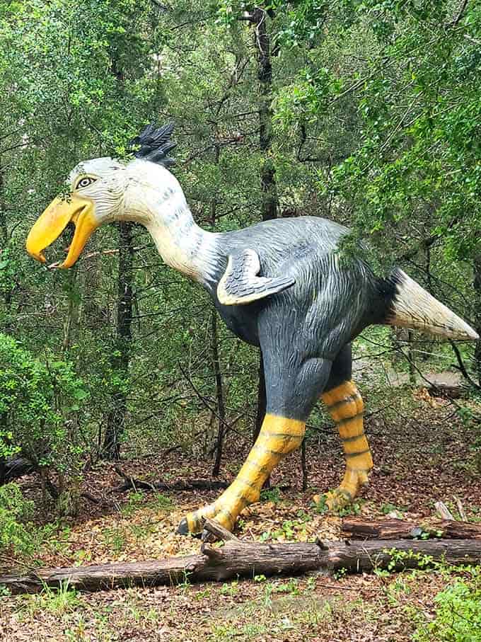 This bird-like dinosaur sports a beak that could've given Big Bird some serious evolutionary competition back then.