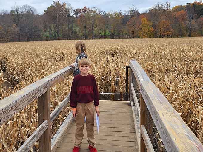 The wooden walkway leads you into fields that stretch so far, you'll forget Connecticut has traffic jams.