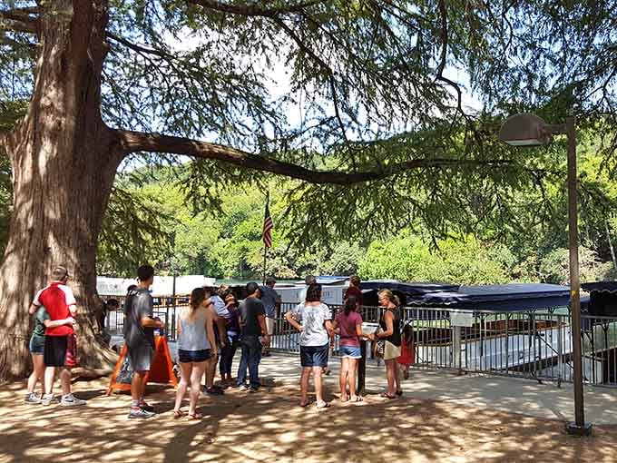 Gathering spot where anticipation builds and everyone's inner eight-year-old starts getting excited about science.