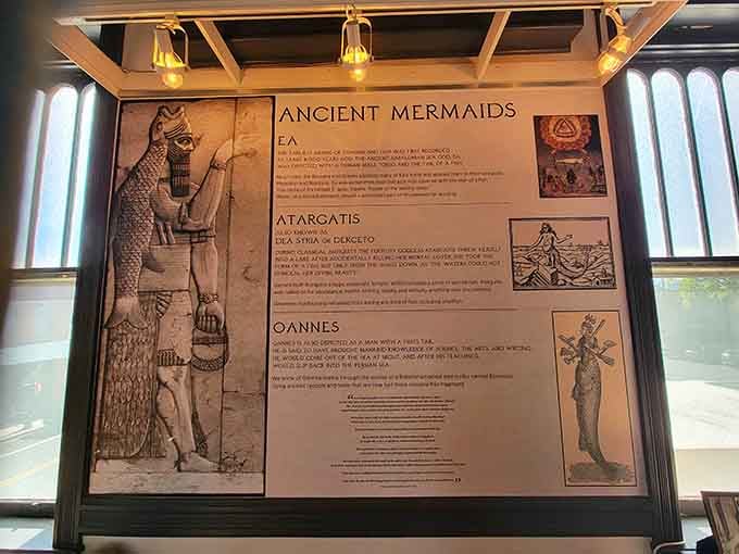 Ancient civilizations from Mesopotamia to Greece had their own mermaid legends, proving these creatures have serious historical street cred.