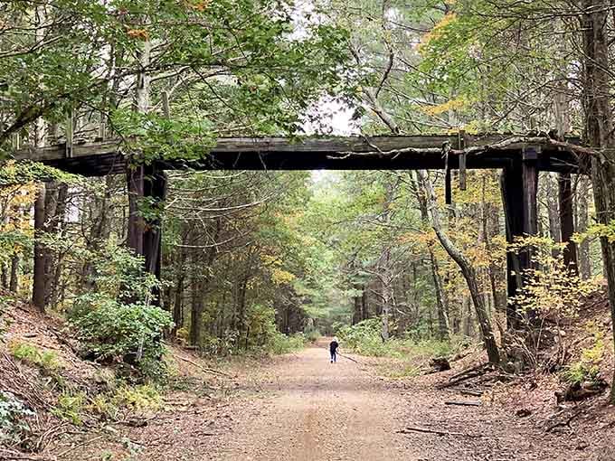 The Air Line State Park Trail offers miles of peaceful walking without a single telemarketer in sight.