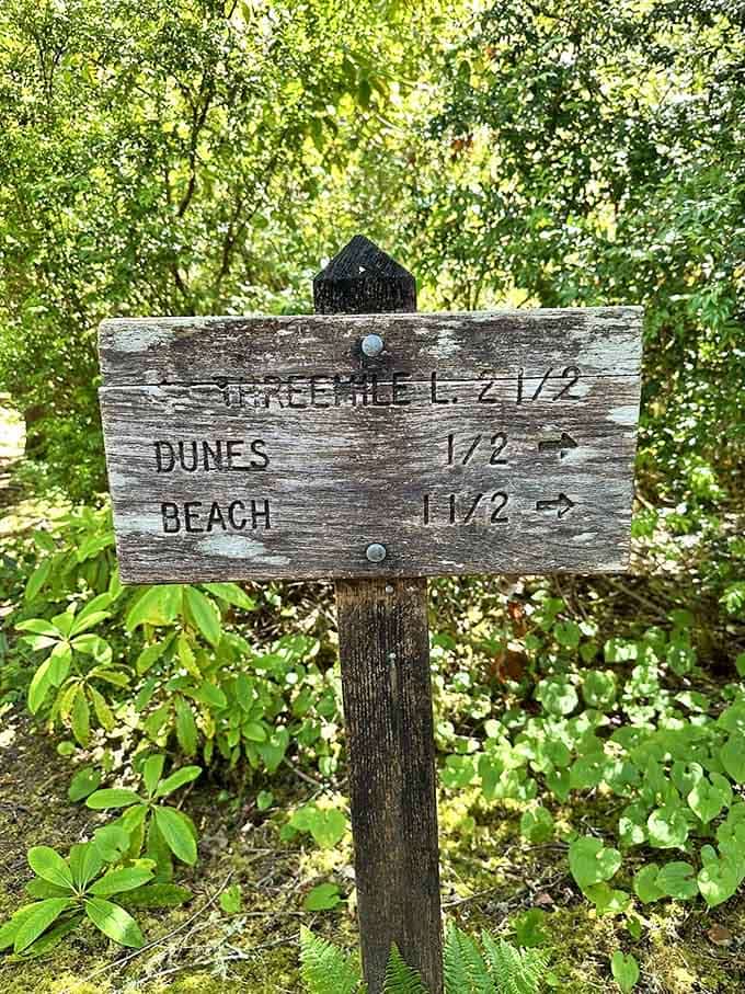 Trail signs that actually make sense? Now that's the kind of miracle we can all appreciate on a hike.
