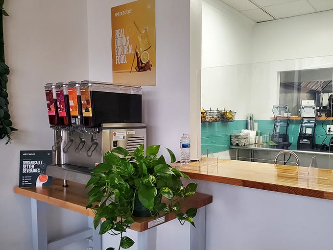 Colorful smoothie dispensers ready to refresh you after tackling one of those seriously satisfying vegan burgers.