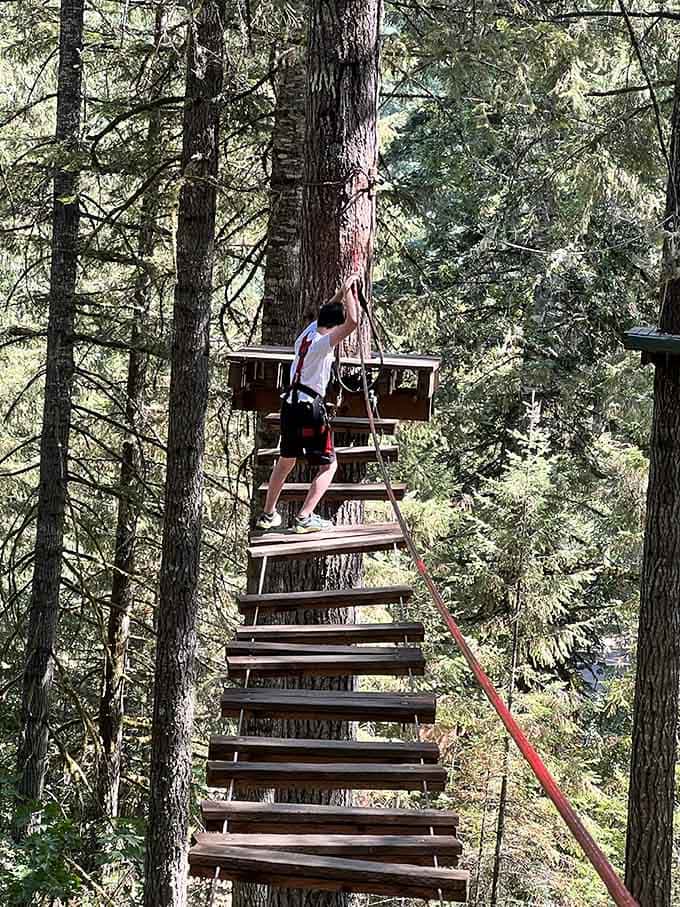 Wooden planks form a vertical ladder into the canopy, where the real adventure begins and second thoughts are perfectly normal.