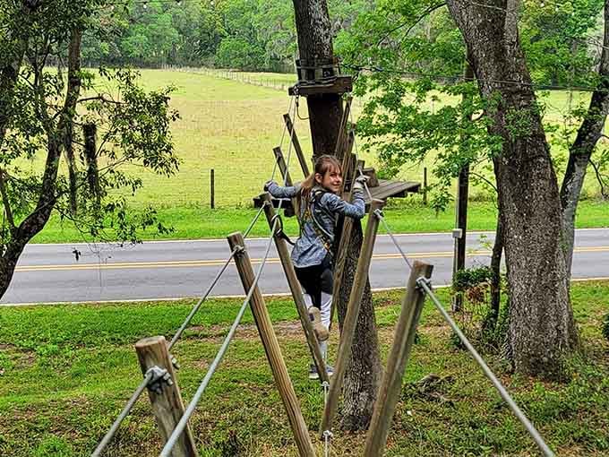 Balancing on this angled bridge tests coordination while pastoral farmland views remind you exactly how high you've climbed today.