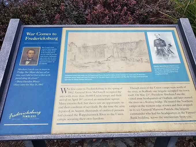 Educational markers dot the landscape, offering history lessons between sips for the intellectually curious wine enthusiast.