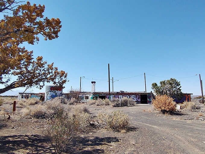 Nature and nostalgia dance together here, where sagebrush now grows where families once stopped for cold sodas and postcards.