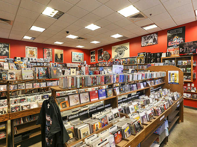 The classical section gets its own room with burnt orange walls because sophistication deserves proper staging always.