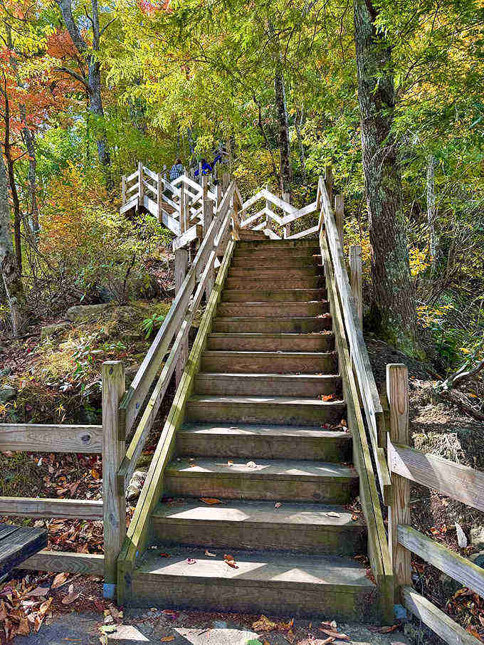 Wooden stairs guide you through the autumn forest like a stairway to waterfall heaven, minus the cardio guilt.