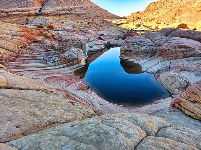 Desert potholes fill with rainwater, creating mirror-perfect reflections that photographers dream about nightly.