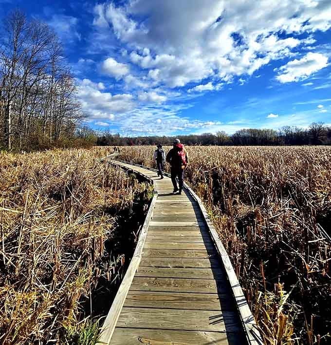 Fellow adventurers dot the distance, proving great trails attract kindred spirits seeking the same peaceful escape.