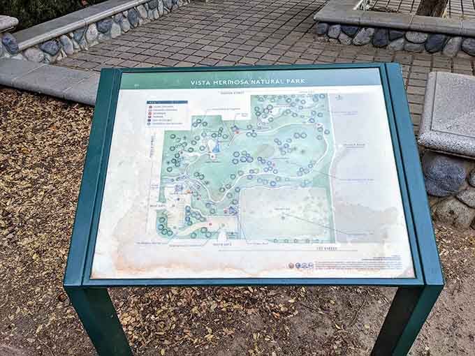This helpful map shows you exactly where to find turtles, waterfalls, and the best Instagram-worthy spots.
