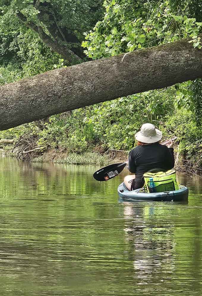 Peaceful paddling through tree-lined channels beats sitting in traffic any day of the week, guaranteed.