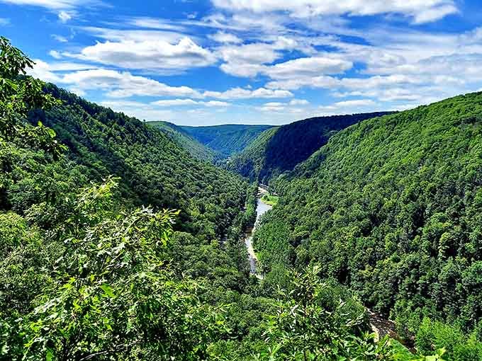 Pennsylvania's Grand Canyon proves you don't need Arizona's heat or crowds for jaw-dropping views that humble you.