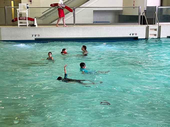 Swimming lessons and open swim share this space, where future Olympians and casual paddlers coexist peacefully.