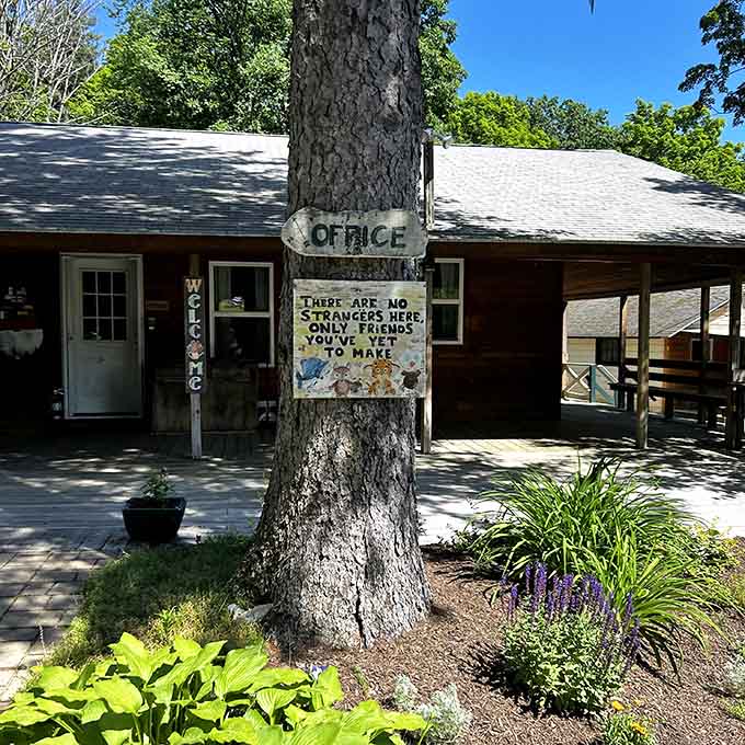Welcome signs that actually mean it, because apparently friendliness isn't extinct in northwestern Connecticut after all.