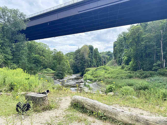 Modern infrastructure meets ancient landscape, and somehow they've learned to coexist quite nicely here at the gorge.